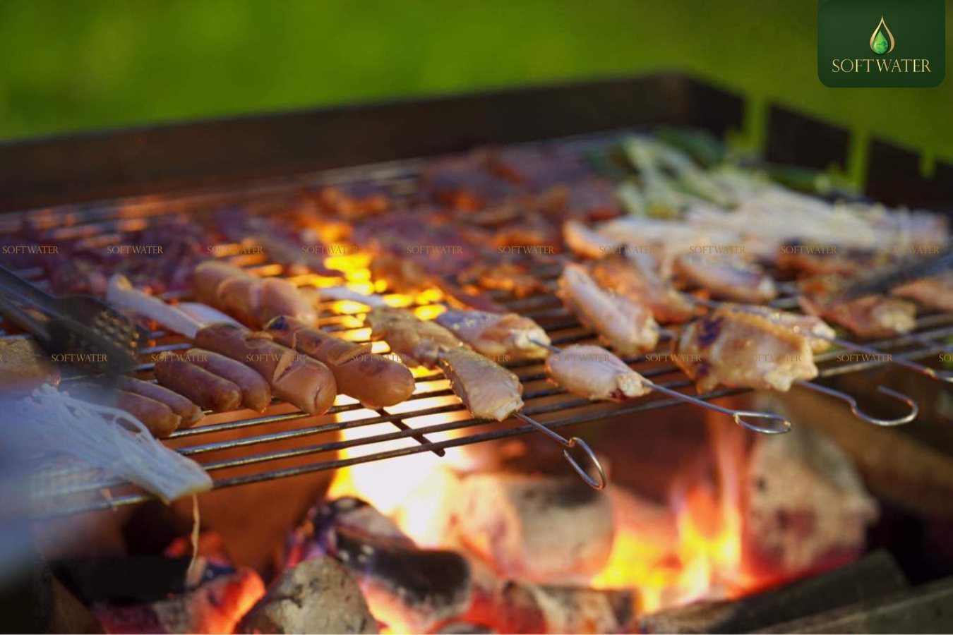 Tiệc BBQ Công Ty Ngoài Trời - Ý Tưởng Giao Lưu, Gắn Kết Nhân Sự Sáng ...
